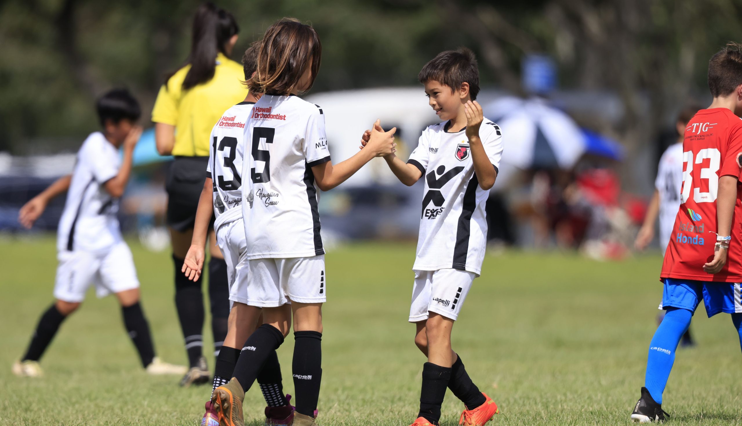 Vision - Honolulu Bulls Soccer Club