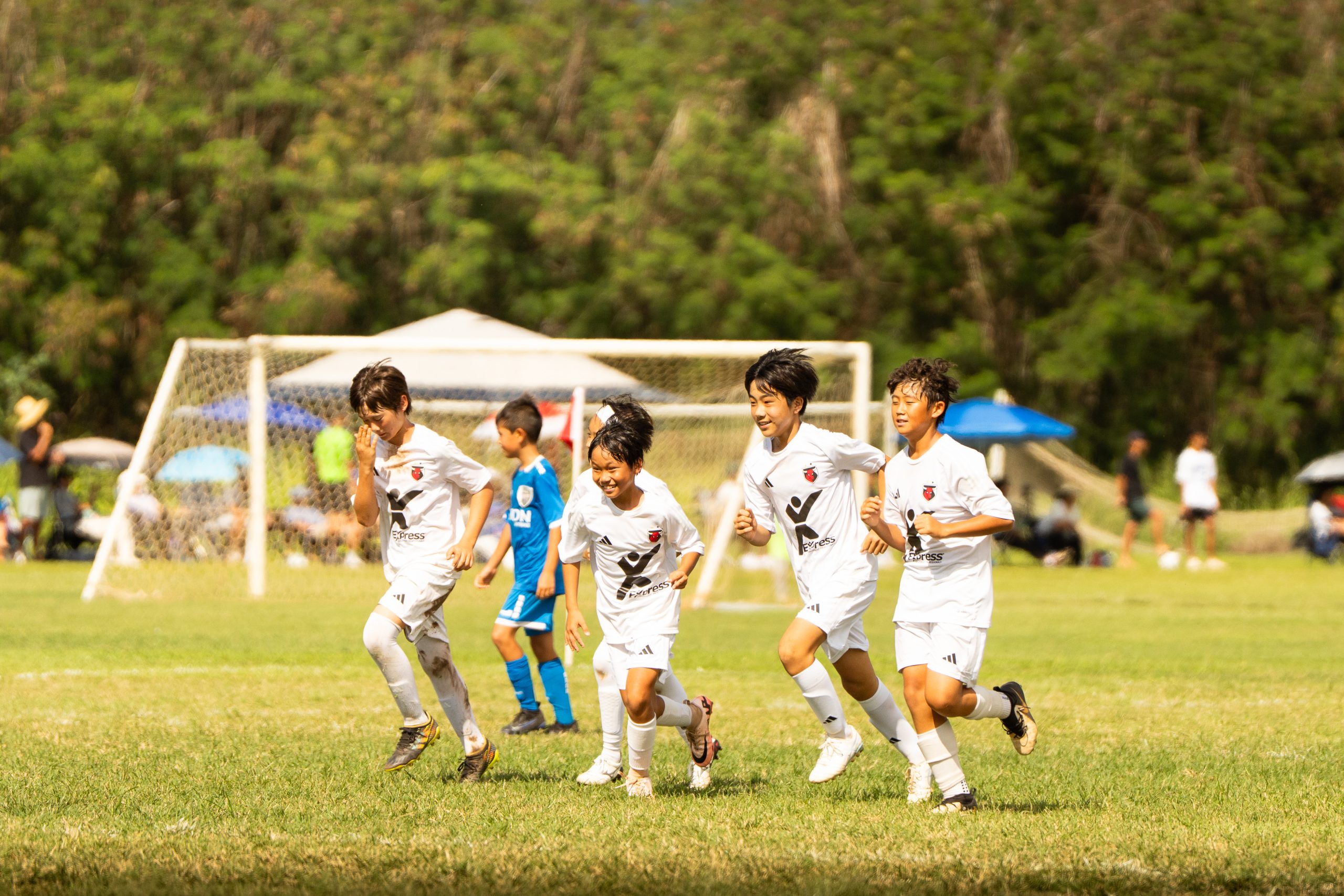 News - Honolulu Bulls Soccer Club